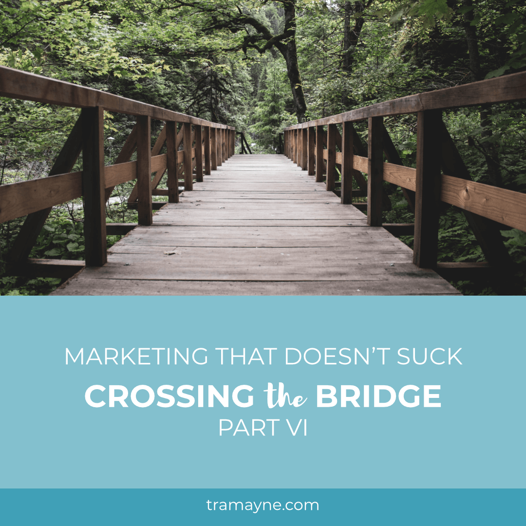 Marketing that doesn’t suck | Crossing the Bridge, Part VI - Selena ...